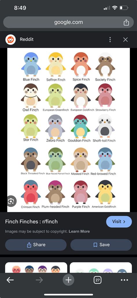 Animal Names In Different Languages