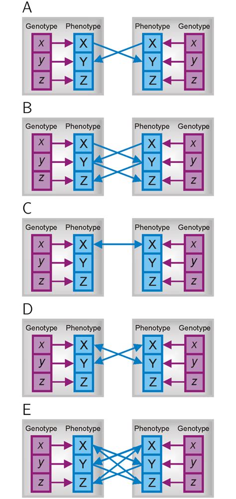 Different Classes Of Interactions A Simple Trait Interactions B