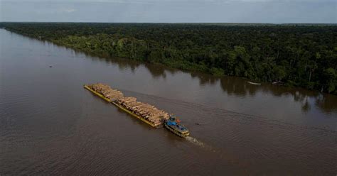 Desmatamento Na Amazônia Tem Queda De 39 No 1º Semestre Diz Inpe