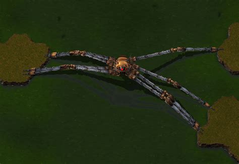 I Was Taking My Spider For A Walk When I Realized Water Reflects