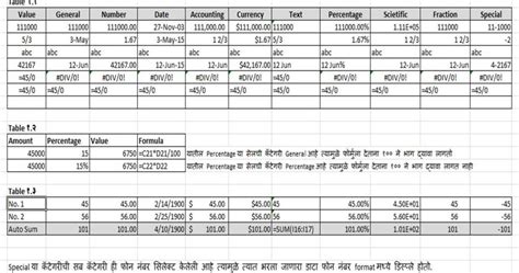 पिंपळ पार अॅडव्हान्स एक्सेल भाग पहिला Cell Formatting