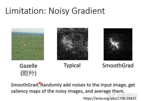 揭示深度学习可解释性的几种方法 知乎
