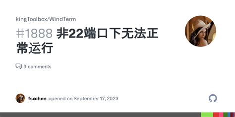 非 端口下无法正常运行 Issue kingToolbox WindTerm GitHub