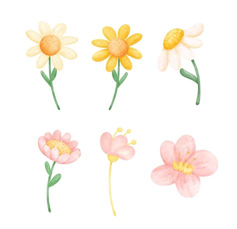 Conjunto De Flores Con Tallo Acuarela Dibujo A Mano Ilustración