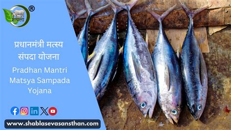प्रधानमंत्री मत्स्य संपदा योजना में आवेदन कैसे करें How To Apply In