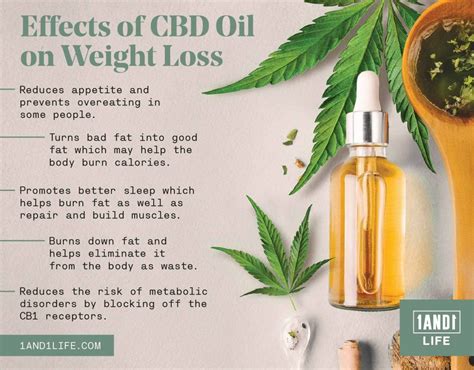 See This Report On Cbd Oil Benefits Uses Side Effects And Uk Laws