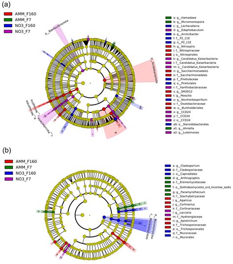 Cladogram Illustrating The Taxonomic Groups Explaining The Most