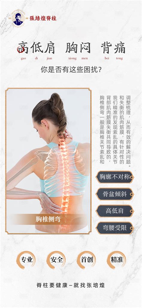 脊柱项目海报psd 设计素材和海报模板免费下载 享设计 脊柱项目海报psd 设计素材和海报模板免费下载 享设计