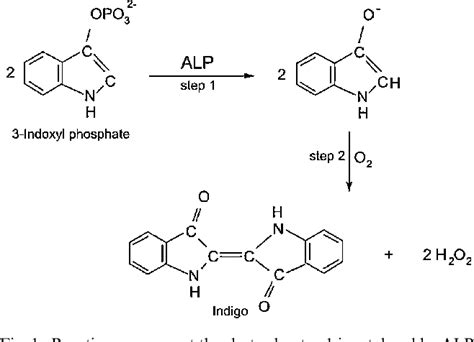 Pdf Alkaline Phosphatase Inhibition Based Electrochemical Sensors For The Detection Of
