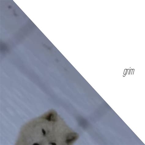 Eric Kxng Grim Lyrics Genius Lyrics