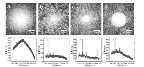 A Detection Method Of Small Sized Microplastics Based On Micro Raman