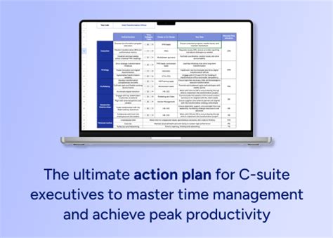 Executive Action Plan Template Consultport