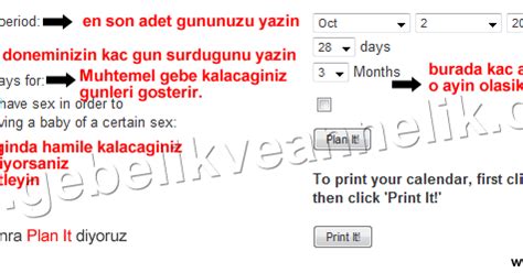 Gebelik Ve Annelik Ovulasyon Yumurtlama Gunu Hesaplama Gebe Kalmak