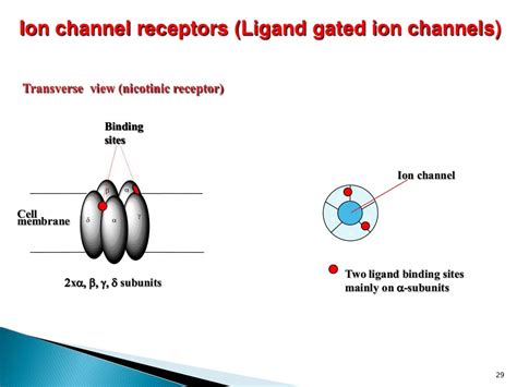 Receptor Ppt