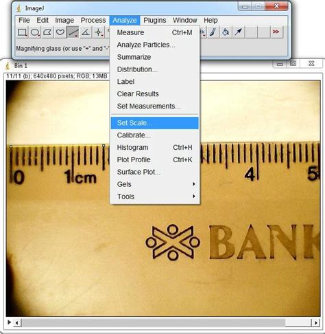 2 View Of The Software Imagej To Set Scale Of The Imaging For Further Download Scientific