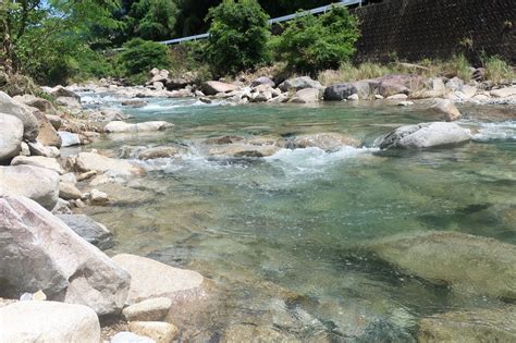 関西電力グループ on Twitter 淡水魚の力で川をキレイに 地元中学生とアマゴ放流 先日今渡水力センターでは地元の中学生たち