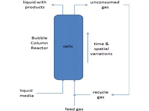 Immobilized Cell Reactor Experiment Experimental Reactor System Pptx