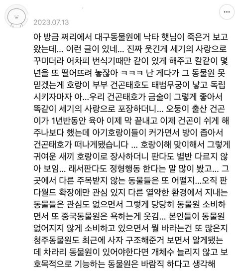 푸바오 등등 판다 좋아하는 세태가 씁쓸한 달글 인스티즈 Instiz 이슈 카테고리