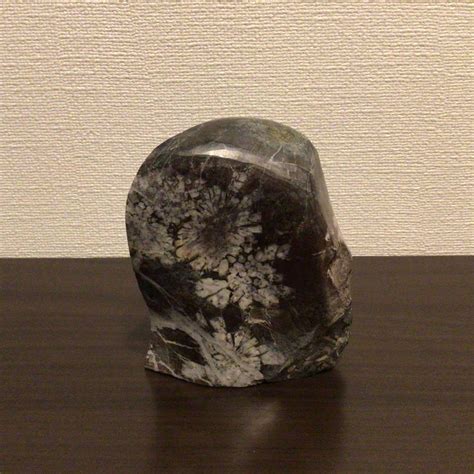 菊花石 鑑賞石 メルカリ
