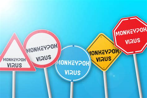 폭스 네트워크 스톡 사진 및 일러스트 Istock