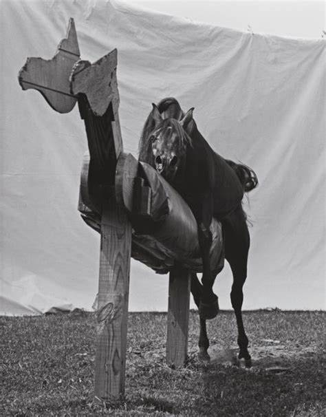 Sex And Violence By Steven Klein Homotography