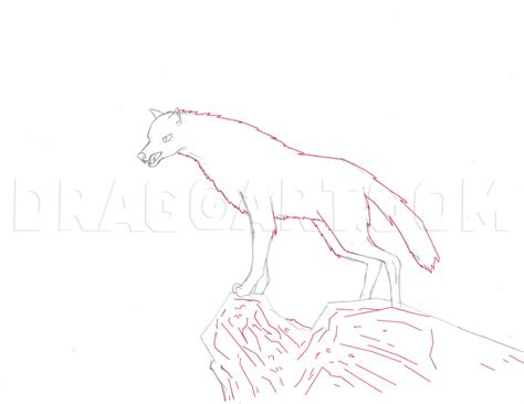 How To Draw Wolf Jacob Drawing Step By Step By Dragoman12 Dragoart