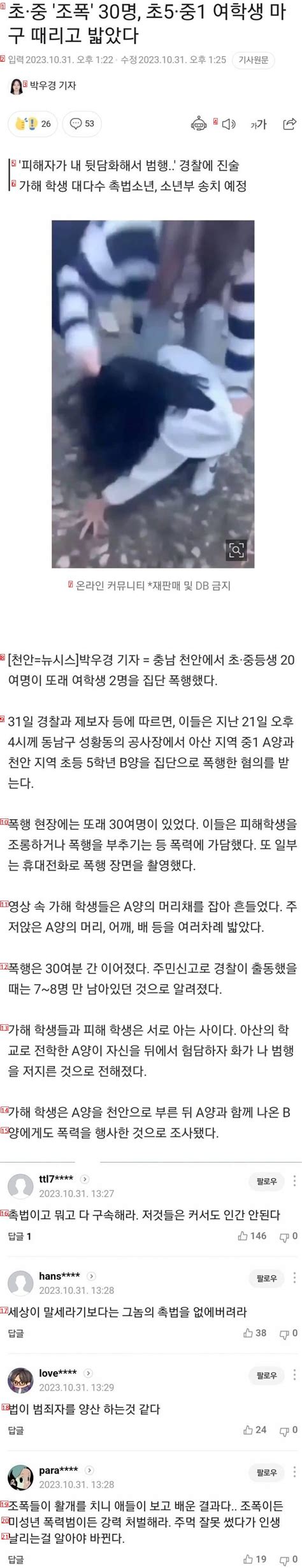 천안 촉법 유충 30마리의 어메이징 집단폭행 촬스의 이슈와 유머