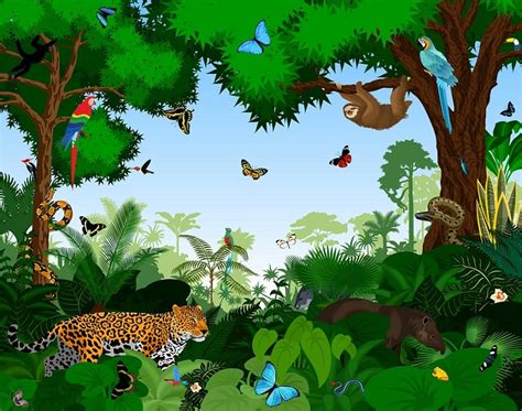 Ejemplos De Ecosistema Vrogue Co