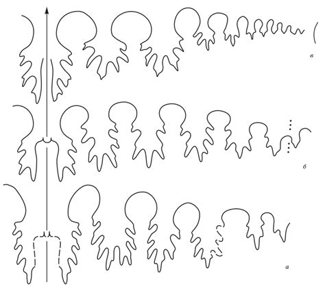Sutures Of Ammonoids A Paramexicoceras Aldanense Popow Tsnigr