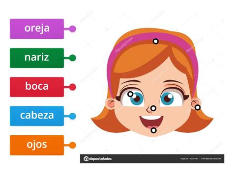 Partes De La Cara Labelled Diagram