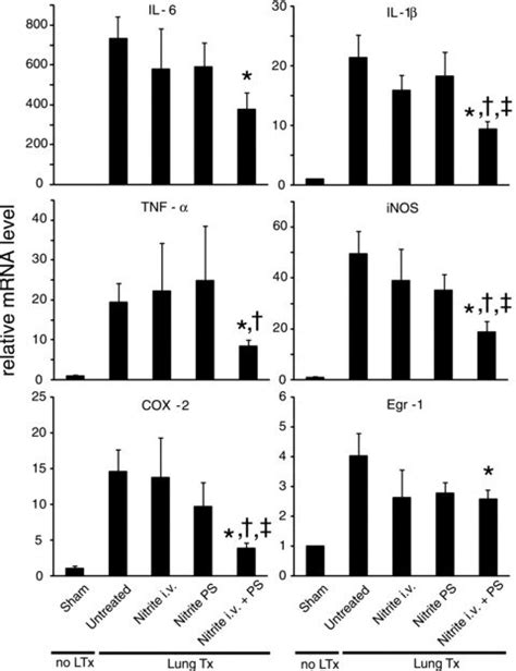 Graft Levels Of Mrna For Mediators Of Inflammation Increases In Mrna