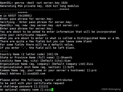 Nginx自签名证书的配置nginx自签证书 Csdn博客 Nginx自签名证书的配置nginx自签证书 Csdn博客