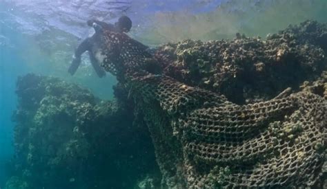 Us Government Allocates 19 Million Towards Combating Marine Debris