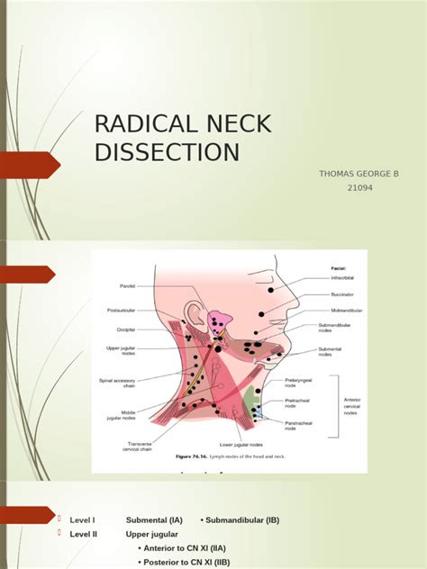 Radical Neck Dissection Pdf