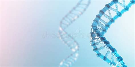 Exploring The Structure Of Dna Helix On A Calming White And Blue Gradient Background With
