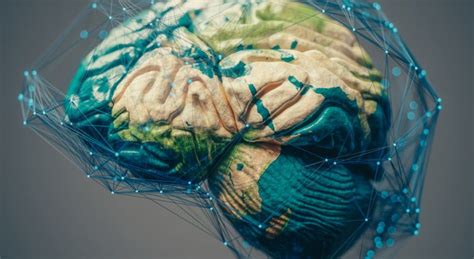 Le Bug humain notre cerveau ennemi de la planète Psychologies