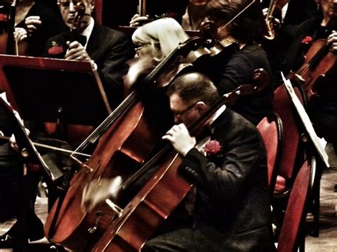 Phthalates In Sex Toys Cocoa39tail