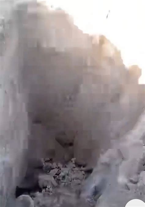 Munkhtuul Shagdar On Twitter Энэ Петро чайна гэх газар яагаад энэ олон зээрийг үй олноор нь