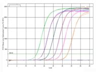 All In One QPCR Mix And Validated Primers GeneCopoeia