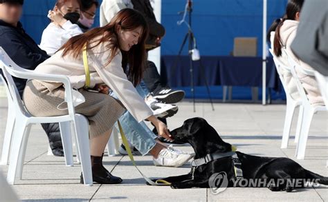 반려견과 함께하는 시간 연합뉴스