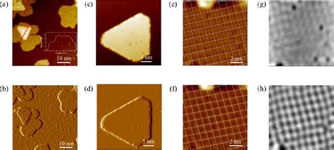 Figure 2 From The Influence Of Adatom Diffusion On The Formation Of