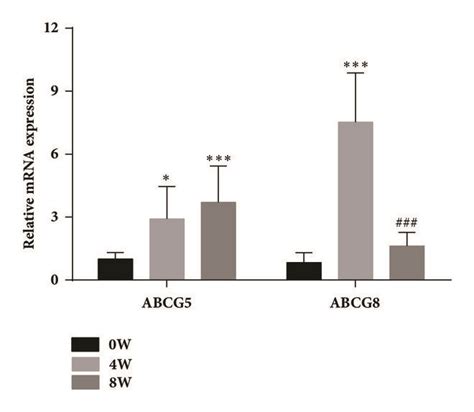 Relative Expressions Of Hepatic Lipid Genes On Mice Cholesterol