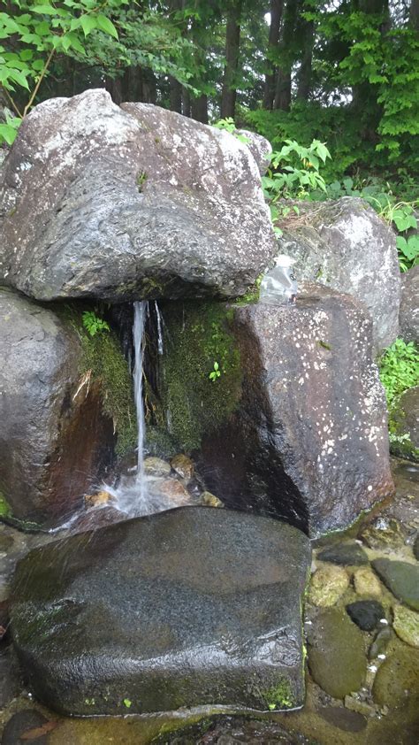 尚仁沢湧水栃木県日光市鬼怒川温泉 ホテルきぬ公式ホームページ