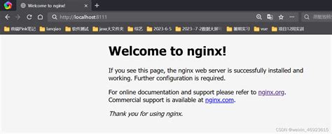 Nginx在windows上一闪而退，启动办法windos Nginx 启动一闪而过 Csdn博客