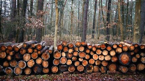 Chauffage Voici Le Montant De Lamende à Payer Si Vous Ramassez Du