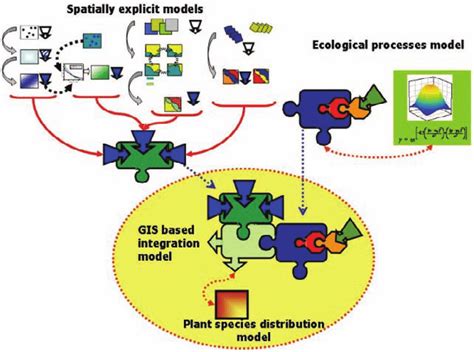 2 Methodological Scheme Of The Ecological And Spatial Plant Species
