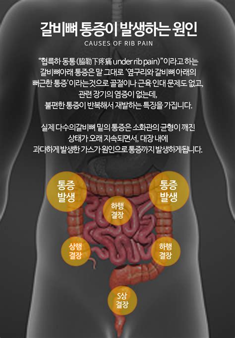 왼쪽 갈비뼈 아래 통증 닥톡 Doctalk