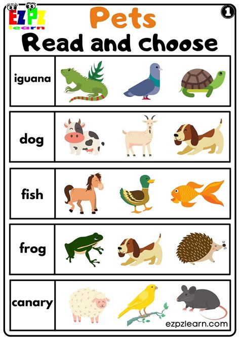 Pet Animals Matching Worksheets The Teaching Aunt Worksheets Library