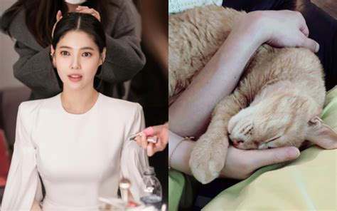 배다해 16살 반려묘 ‘암 투병 치료법까지 전수받아잘 해내볼게요