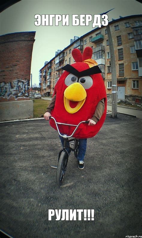 ЭНГРИ БЕРДЗ РУЛИТ!!!, Комикс Angry bird на велике - Рисовач .Ру